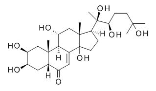 AvaChem Scientific, Provider of biologically active compounds